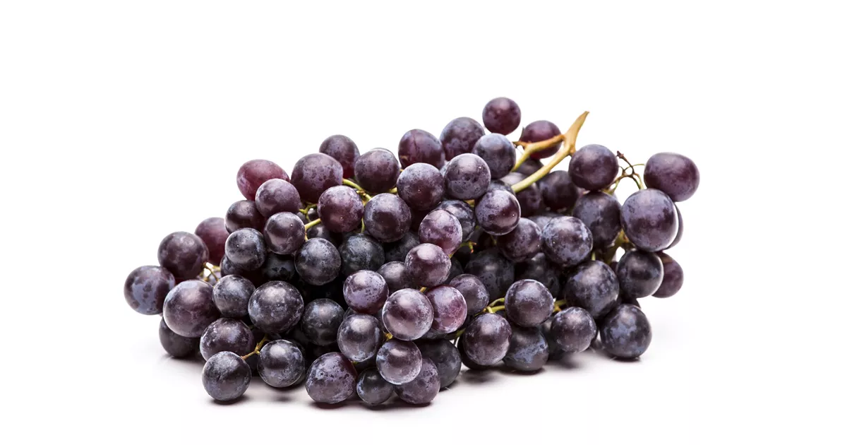 Vitis 'Venus', Tafeltraube 'Venus' im Pflanzenshop