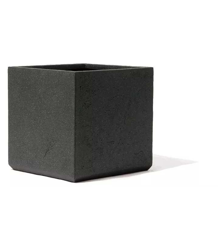 Croydon Nero, Kirschke RockLine Nero im Pflanzenshop